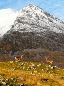 Torridon:What to do and see