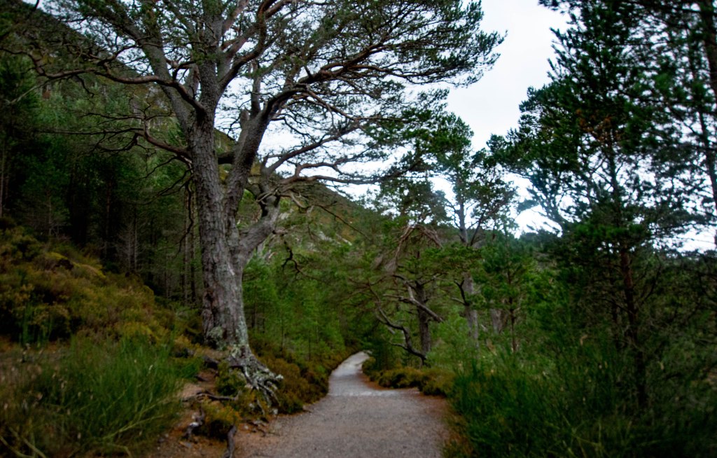 A Hike to Lochan Uaine (the Green Lochan)