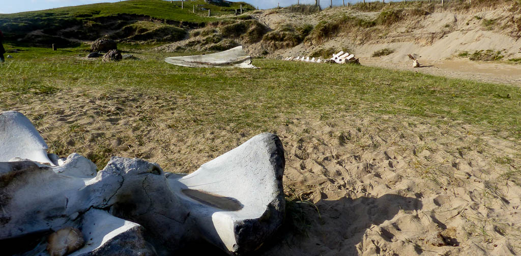 COLONSAY AND ORONSAY:TWO TINY HEBRIDEAN GEMS