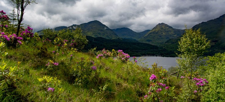 THE BEST OF LOCH LOMOND